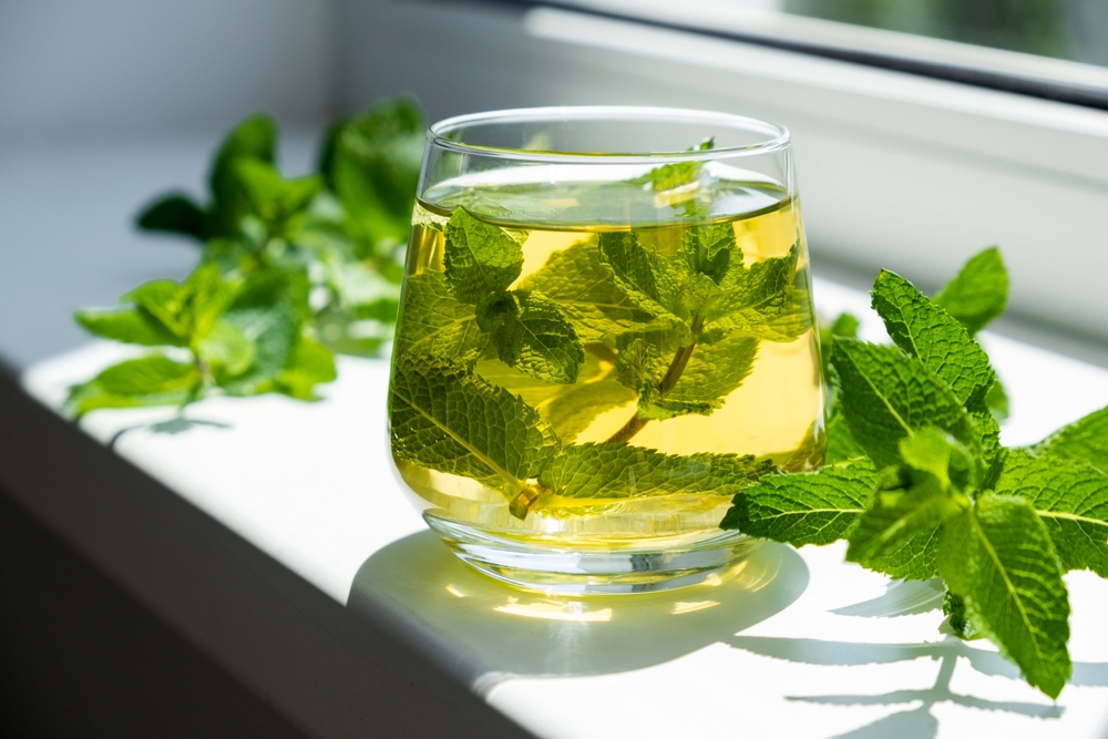 7 Best Effect Of Craving Mint Leaves During Pregnancy | Mama Adoptation