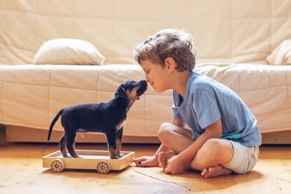 When Can Baby Play with the Dog? (With Important Safety Info ...
