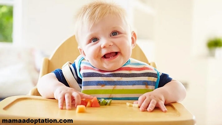 What Age Can A Baby Sit In A High Chair? Important Guide